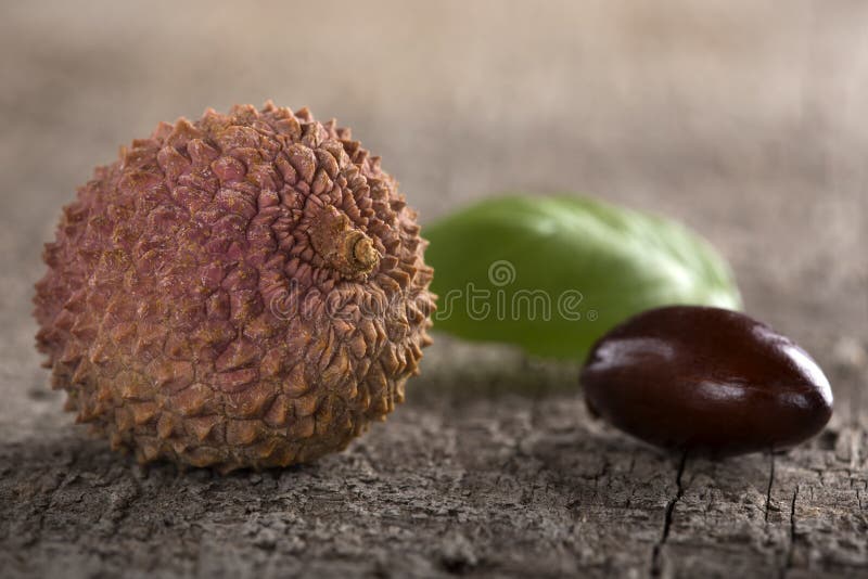 One fresh lychee stock photo. Image of healthy, health - 67304156