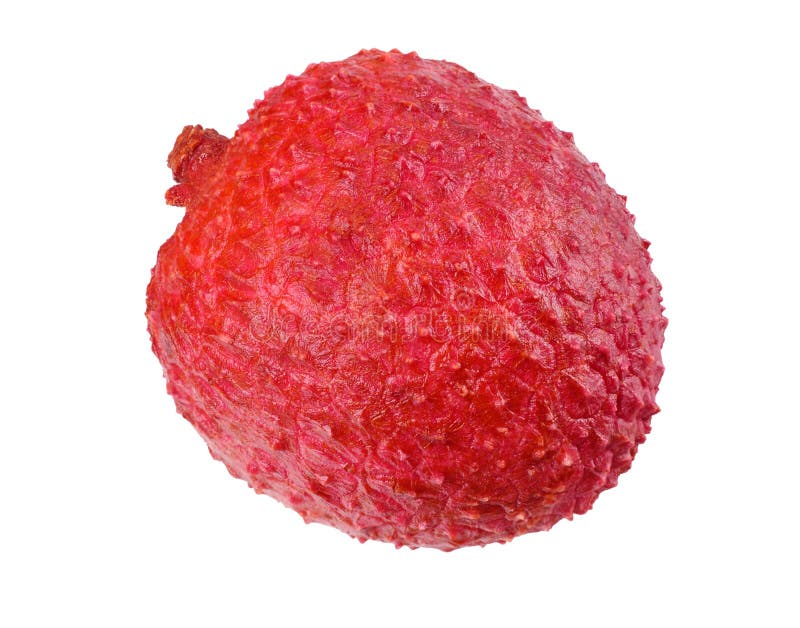 One Fresh Lychee Isolated on White Background. Macro Stock Photo ...
