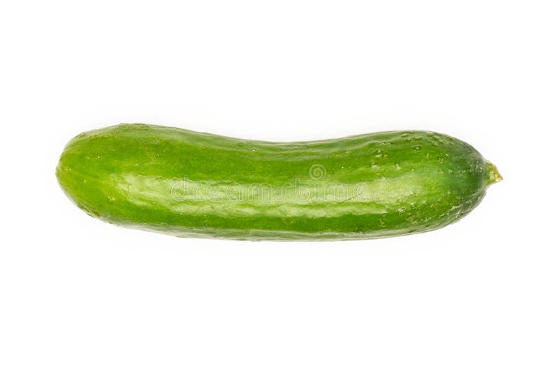Fresh Raw Mini Cucumber Isolated on White Stock Photo - Image of ...
