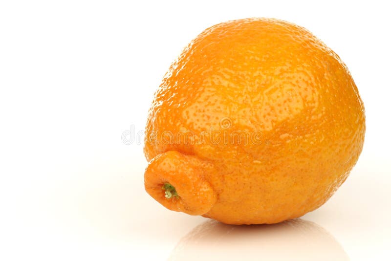 One Fresh Minneola and Some Slices Stock Image - Image of citrus ...