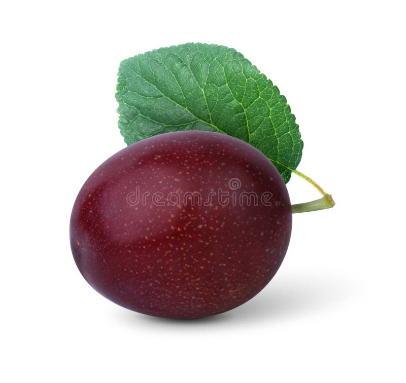 One Fresh Plum with Leaf on White Stock Photo - Image of dessert, leaf ...