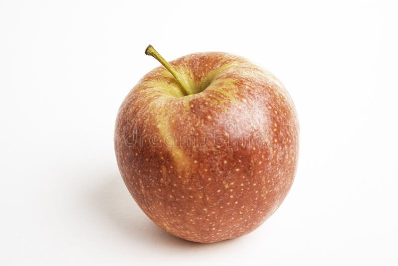 One Red Apple stock image. Image of graphic, edible - 166597919