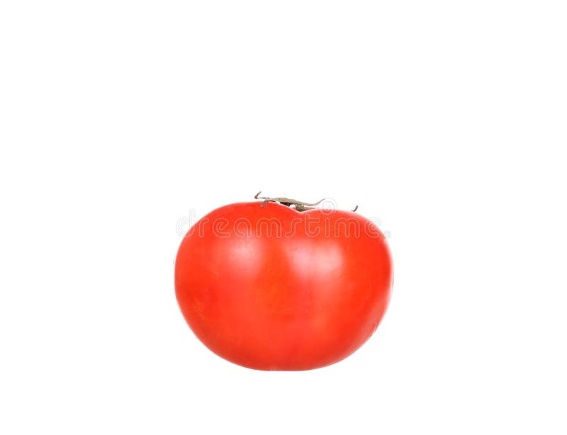 One Fresh Red Tomato Isolated on White Stock Photo - Image of nature ...