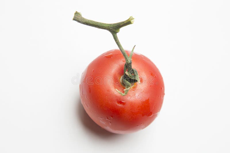 One Fresh Red Tomato Isolated on White Stock Photo - Image of isolated ...