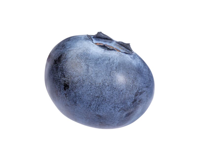 One Fresh Ripe Blueberry Isolated on White Stock Photo - Image of ...