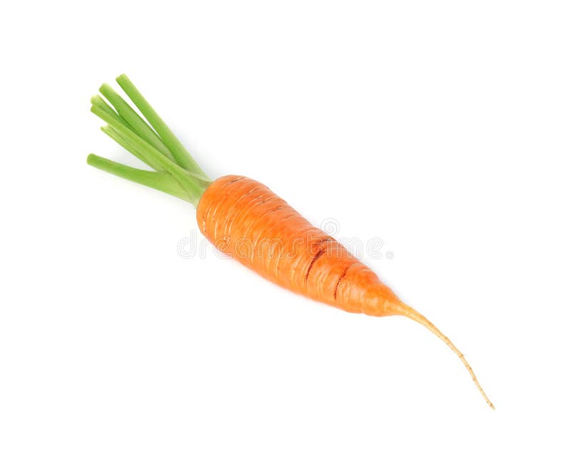 One Fresh Ripe Carrot Isolated on White Stock Photo - Image of healthy ...
