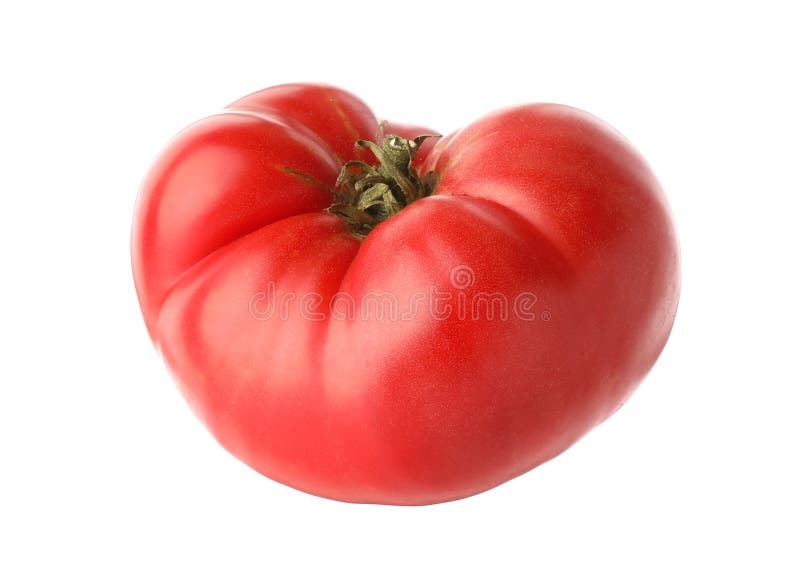 One Fresh Ripe Pink Tomato Isolated on White Stock Image - Image of ...