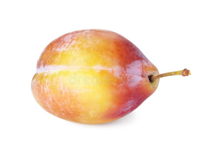 One Fresh Ripe Plum Isolated on White Stock Image - Image of seasonal ...