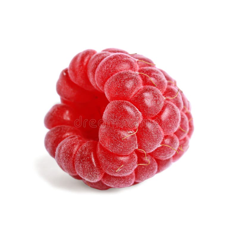 One Fresh Ripe Raspberry Isolated on White Stock Image - Image of ...