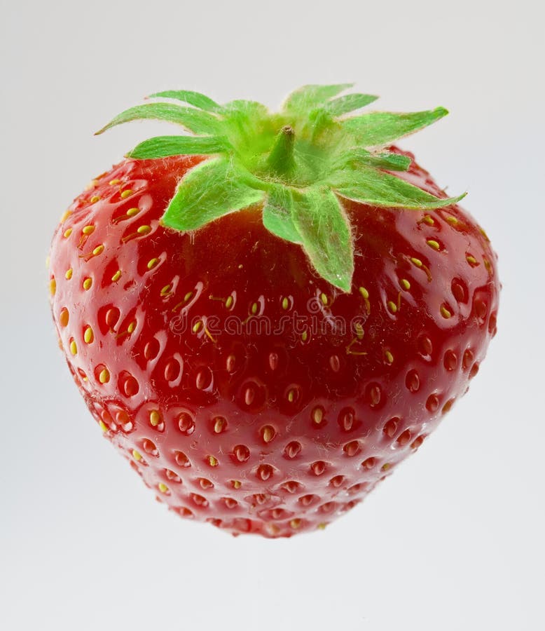 One fresh strawberry stock photo. Image of delicious - 51717288