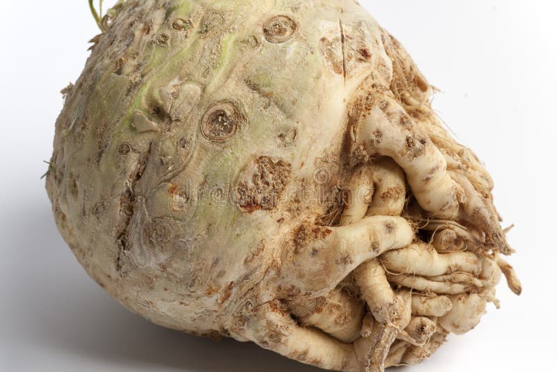 One Fresh Whole Celery Turnip Stock Image - Image of healthy, food ...