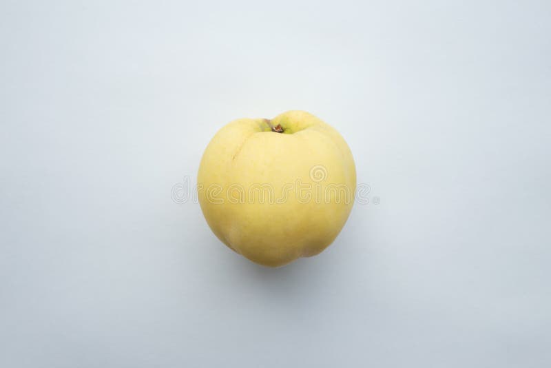 One Fruit of Quince on White Table. Stock Photo - Image of apple, life ...