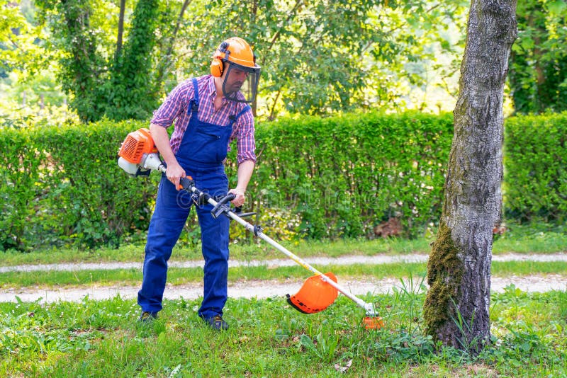 One Gardener Mowing Grass Using Brush Cutter in the Garden Stock Photo ...
