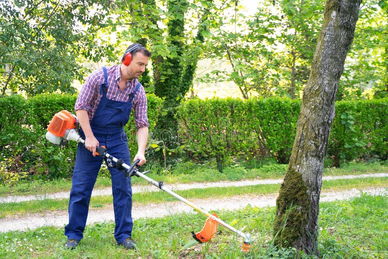 One Gardener Mowing Grass Using Brush Cutter in the Garden Stock Photo ...