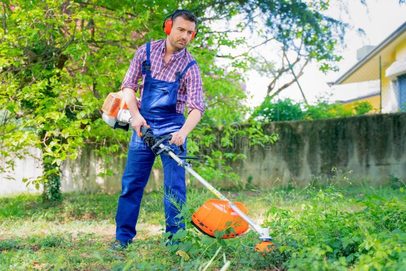 One Gardener Mowing Grass Using Brushcutter in the Garden Stock Image ...