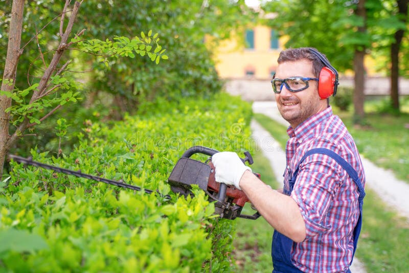 One Gardener Shaping Hedge Using Hedge Trimmer Stock Image - Image of ...