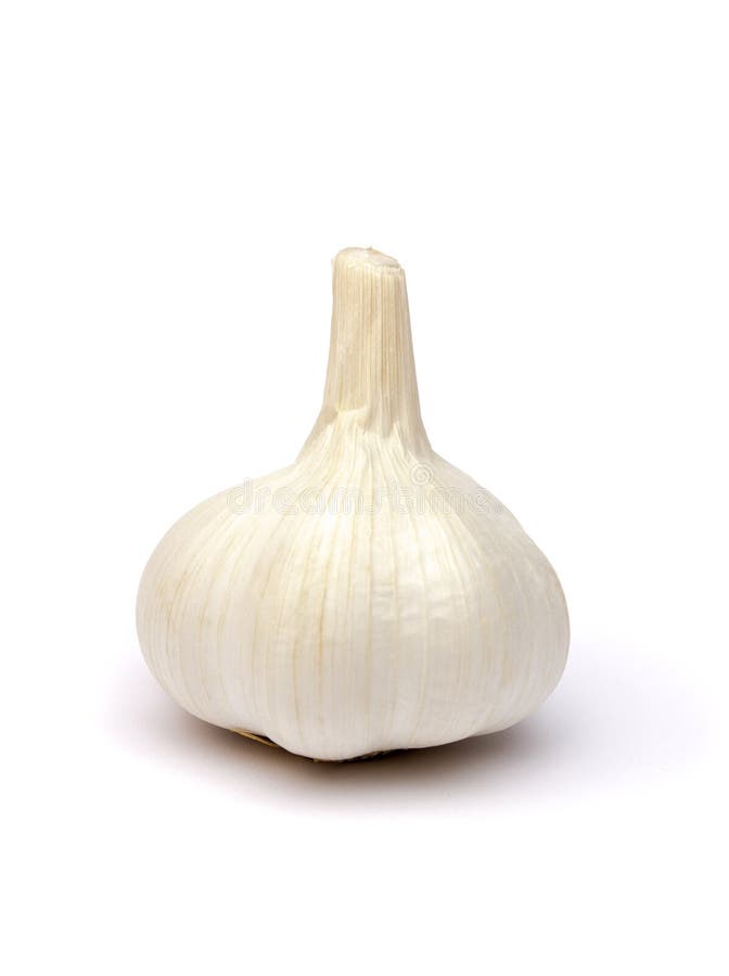 One garlic bulb stock image. Image of isolated, bulb - 257449167