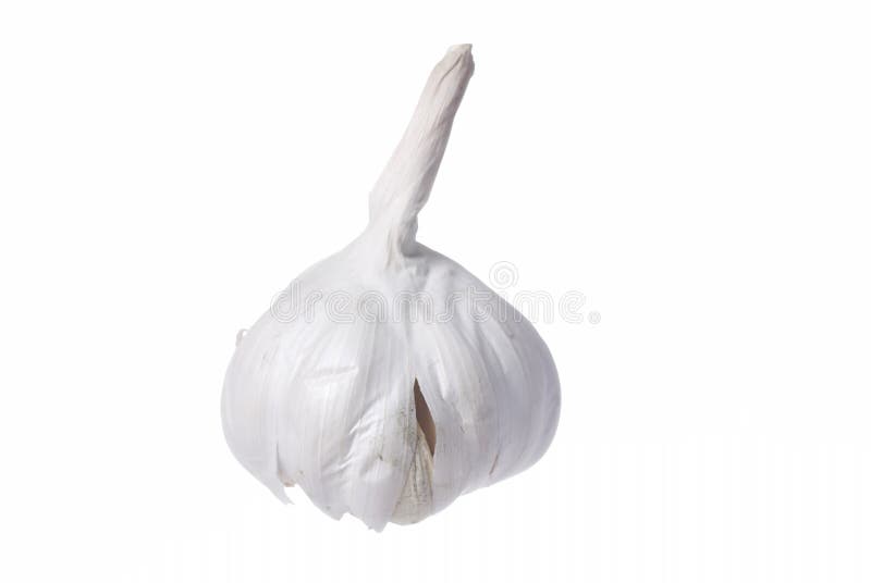 One Garlic on White Background. Stock Image - Image of nutrition ...
