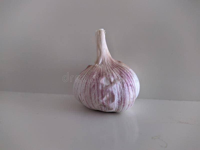 One Garlic on White Background Closeup Photo. Stock Photo - Image of ...