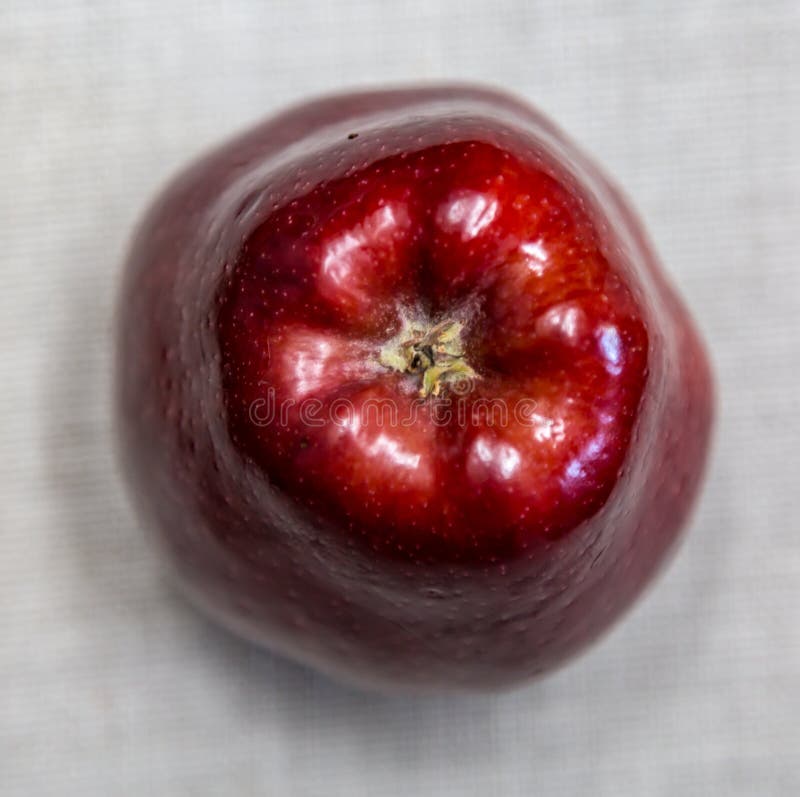 One generic red apple stock image. Image of fruit, cultivars - 112506425
