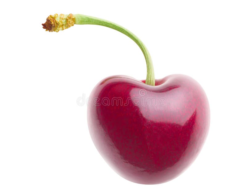 One Glossy Sweet Cherry on a Stem Isolated on White Stock Photo - Image ...