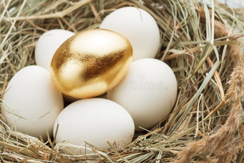 One Gold and Many Ordinary Eggs in the Hay Nest Stock Image - Image of ...