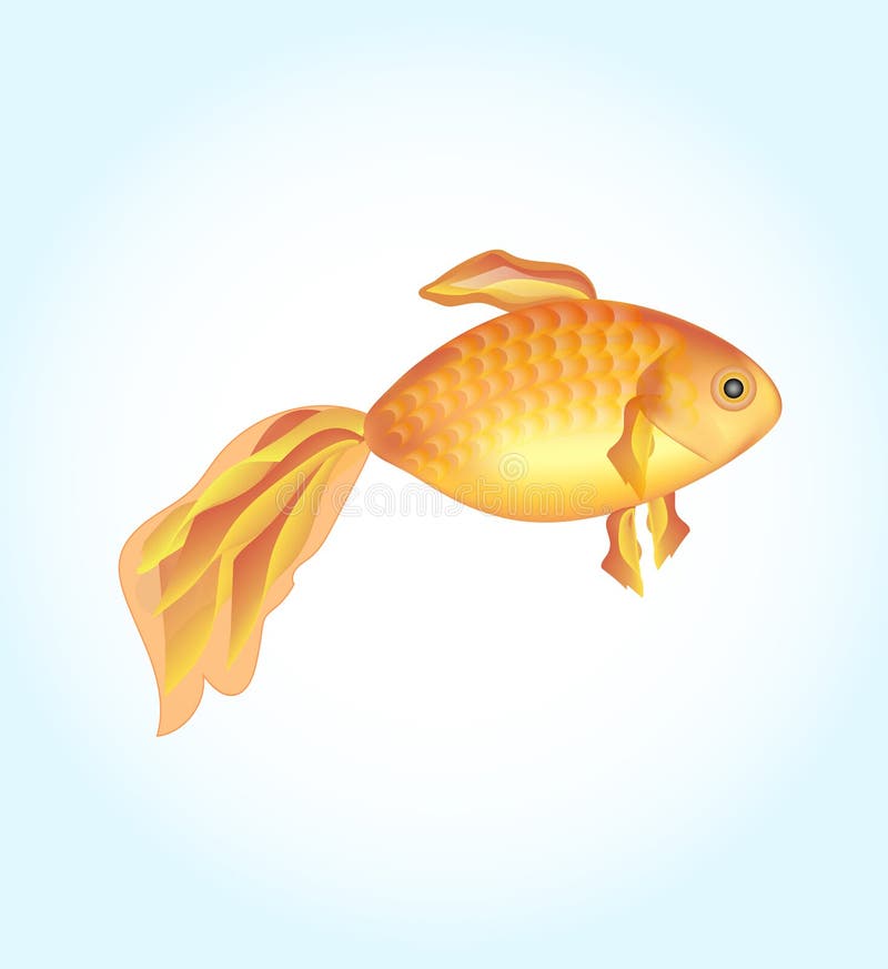 One Goldfish. Golden Fish on a Light Background Stock Vector ...