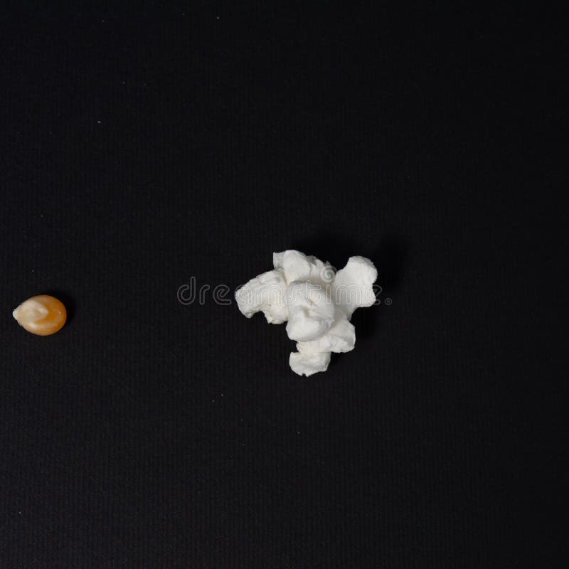 One Grain of Corn and One Popcorn on a Black Background Stock Image ...