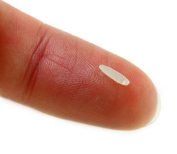 One grain of rice stock image. Image of shortage, fingers - 5065719