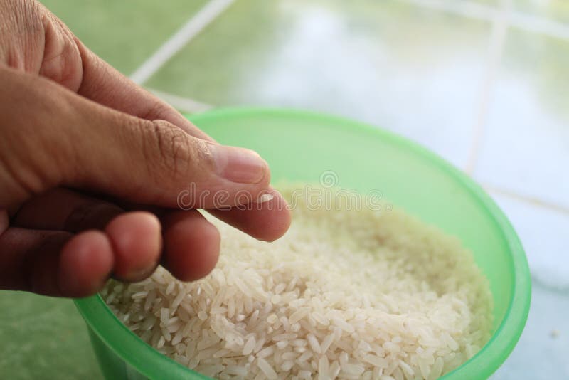 One Grain of White Rice in a Bowl Stock Image - Image of white, grain ...