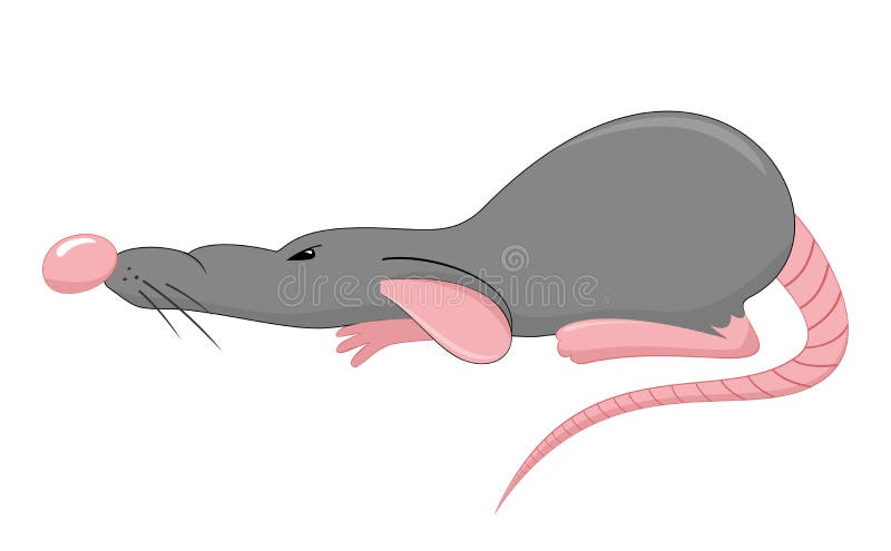 Angry Rat Stock Illustrations – 861 Angry Rat Stock Illustrations ...