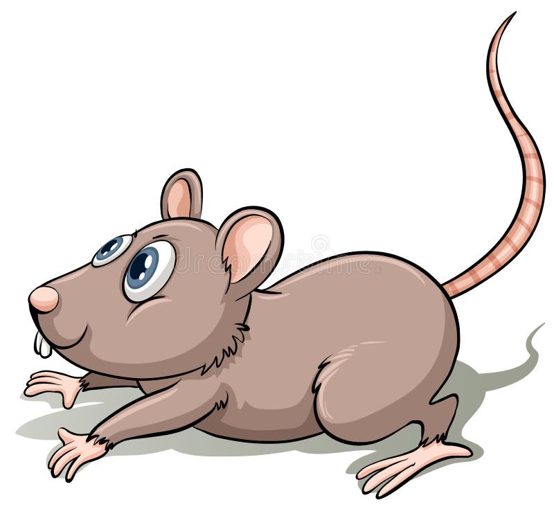 Running Mouse Stock Illustrations – 980 Running Mouse Stock ...
