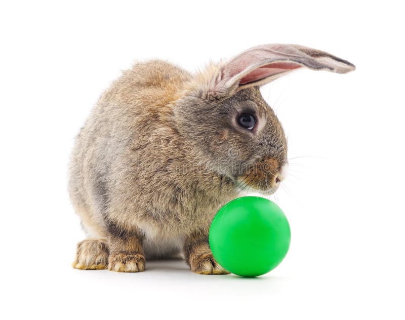 Rabbit and red ball stock image. Image of holiday, isolation - 17128275