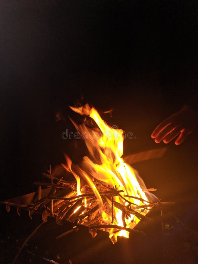 One Great Night in Dark Forest Whith Fire Stock Image - Image of forest ...