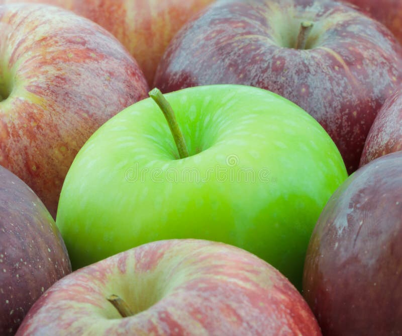 One Red Apple Among Group Of Many Green Apples Stock Photo - Image of ...