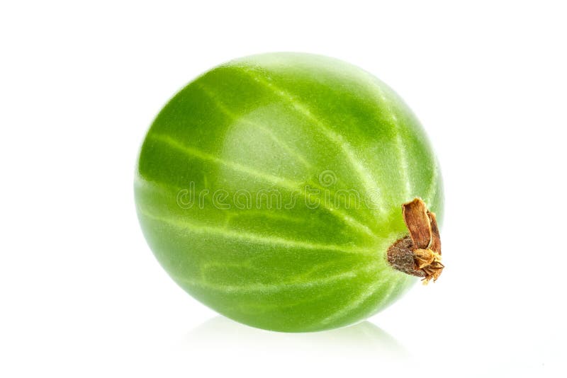 One Gooseberry Fruits Isolated Stock Photo - Image of dayberry, single ...