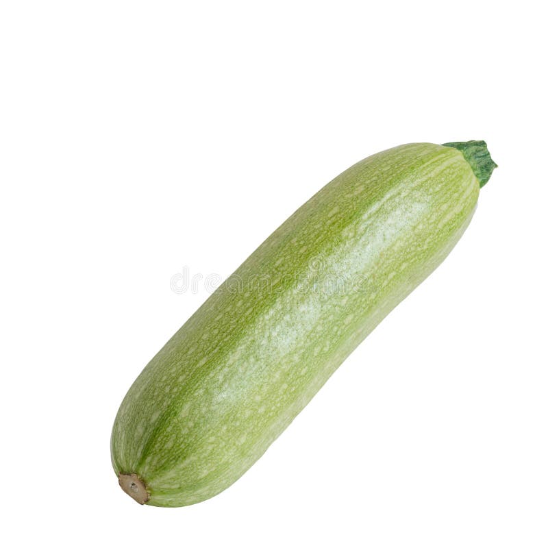 One Green Raw Zucchini Isolated on White Background Stock Image - Image ...