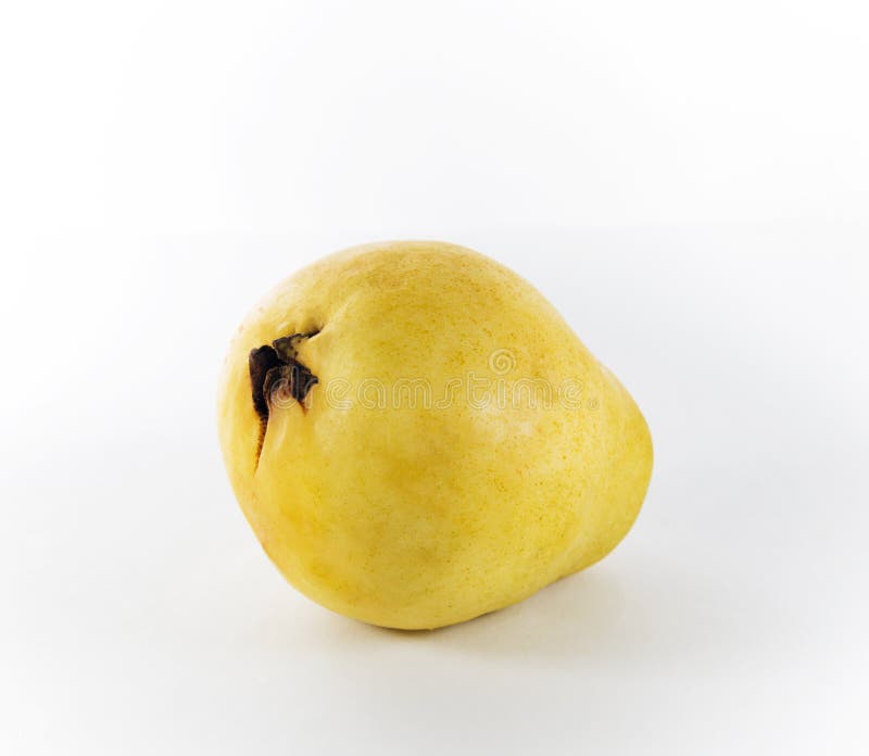 Guava Fruit and a Half stock photo. Image of cutout, guava - 18271148