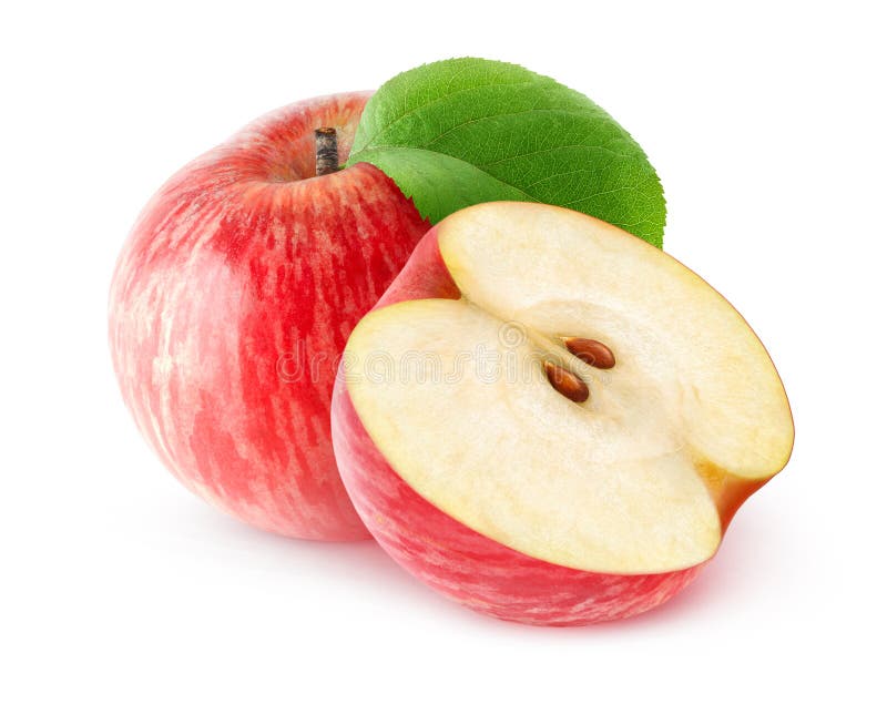 Apple tree isolated stock image. Image of metaphor, high - 27475173