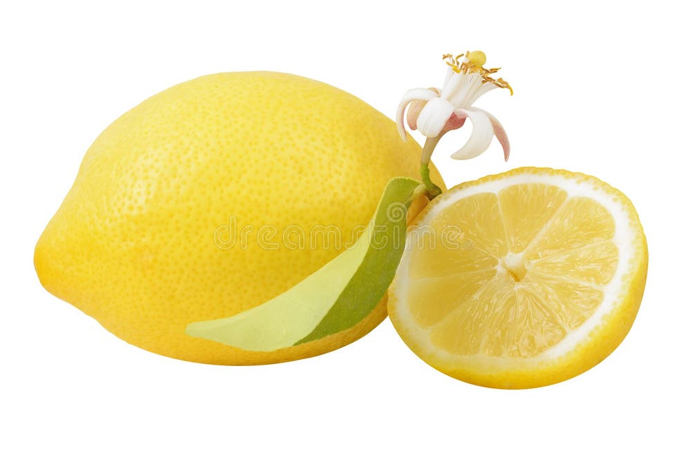 One and a Half Lemons with a Flower, Isolated Stock Photo - Image of ...