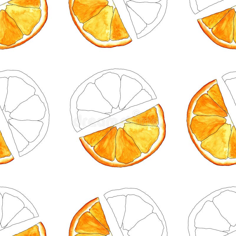 Half an Orange on a White Background. Seamless Pattern Watercolor ...