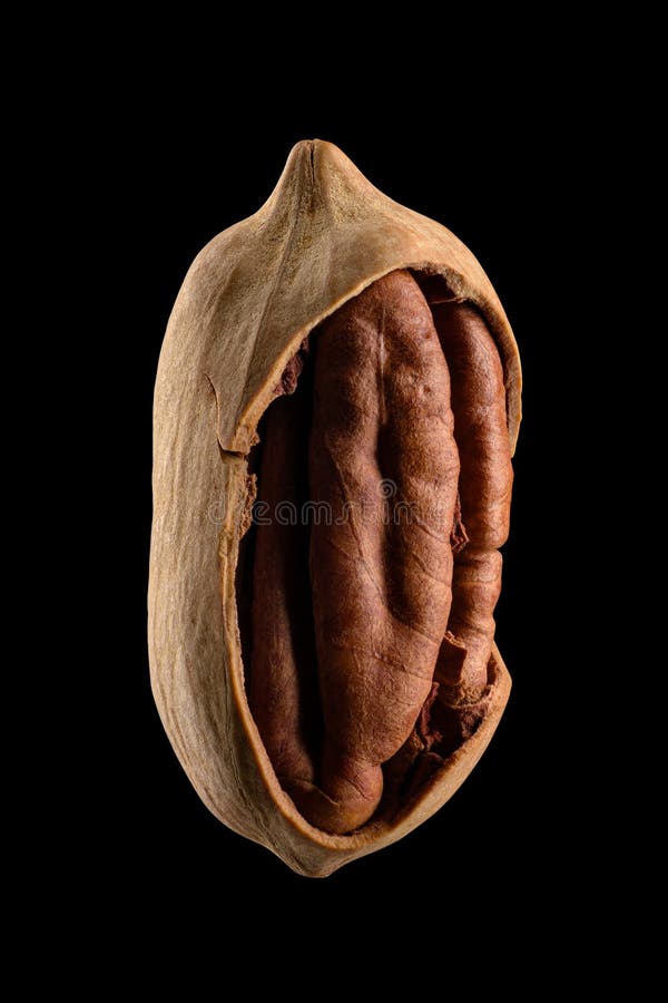 One Half-peeled Walnut Isolated on Black Background Stock Photo - Image ...