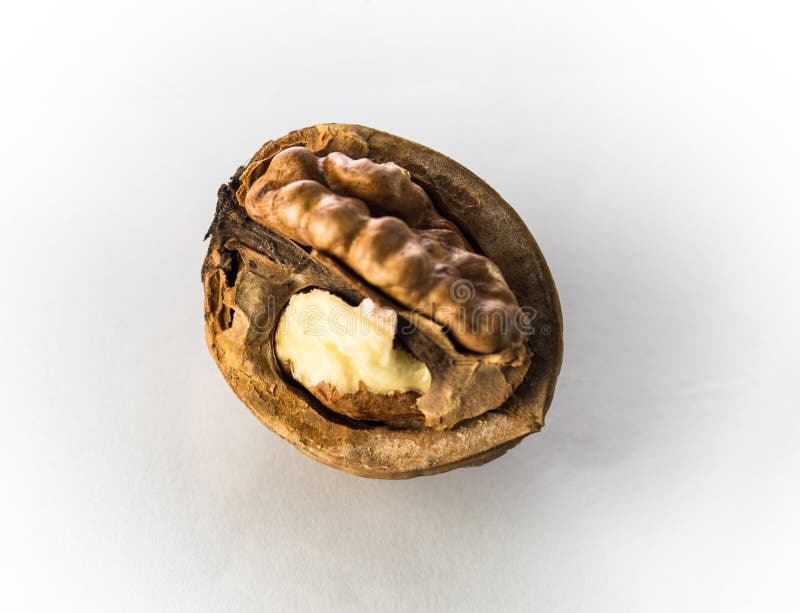 One half of a walnut stock photo. Image of oval, close - 305613022