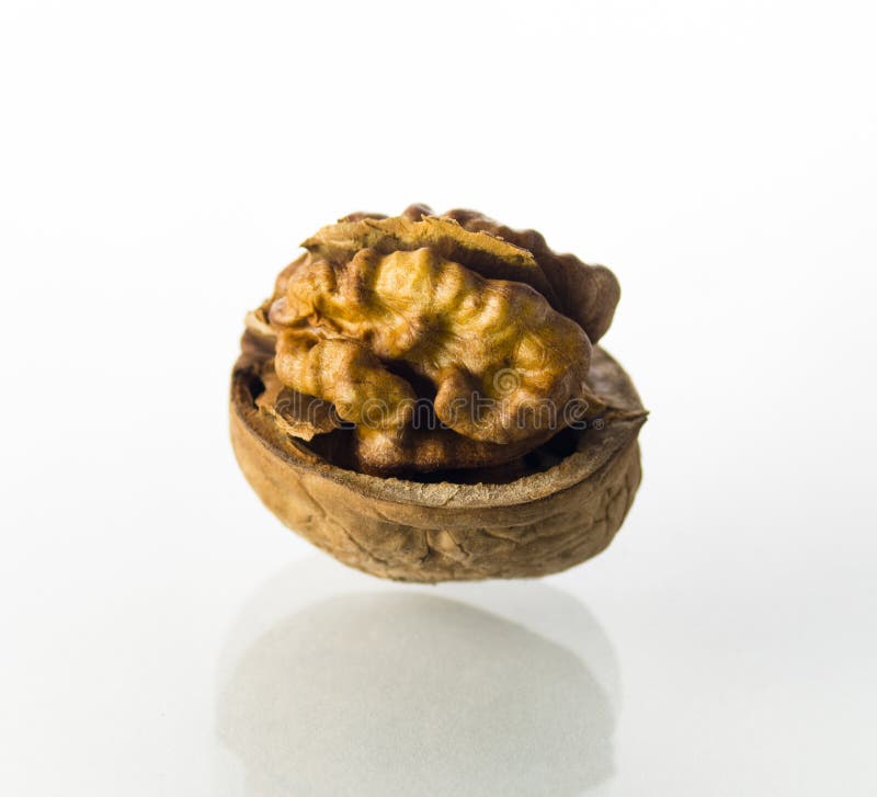 7,074 Walnut Half Shell Stock Photos - Free & Royalty-Free Stock Photos ...