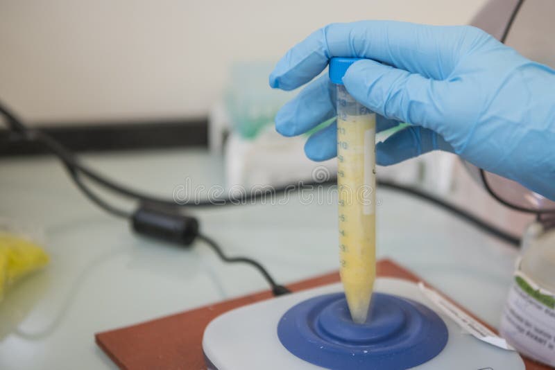 One Hand with a Blue Glove Holding a Plastic Test Tube with Sample ...