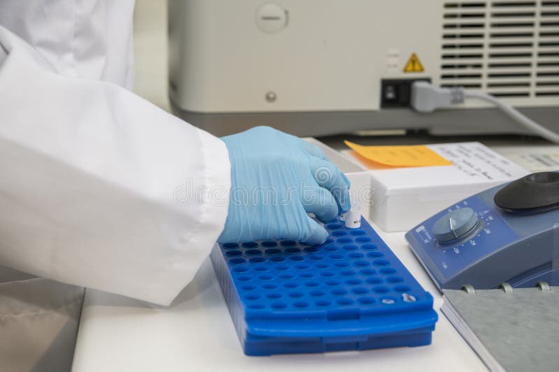 One Hand with Blue Nitril Gloves Arranging Plastic Eppendorf Tubes in a ...