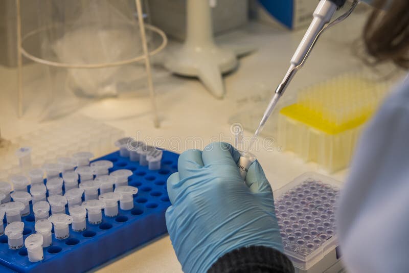 One Hand Holding an Eppendorf Test Tube with Sample and a Lab ...