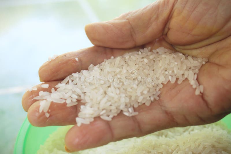 One Handful of Clean White Rice Stock Image - Image of clean, handful ...
