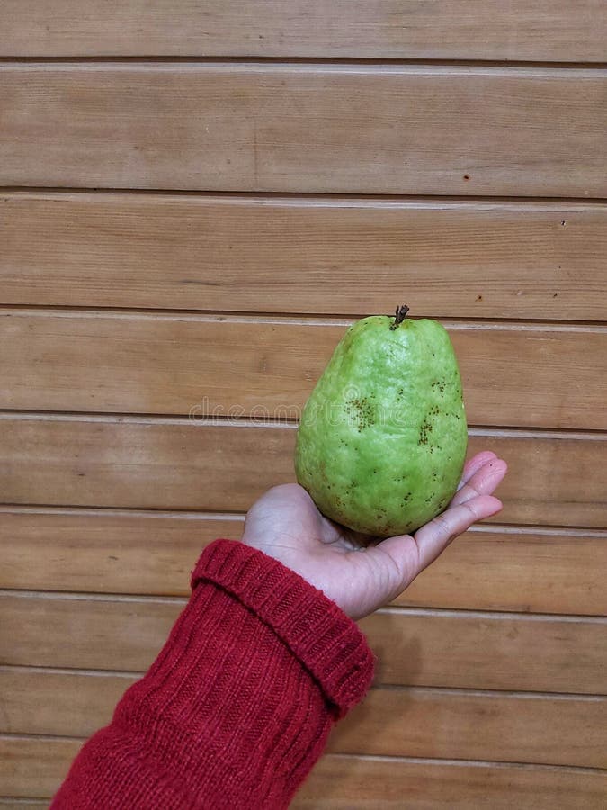 One Handful of Guava with Light Green Skin Stock Image - Image of ...