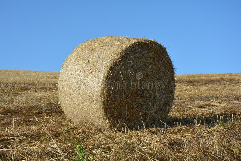 One Hay Bales on Harvested Field Stock Image - Image of farm, country ...
